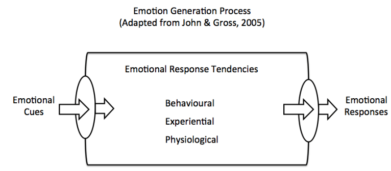 Using Cognitive Reappraisal in the Classroom – The Emotional Learner