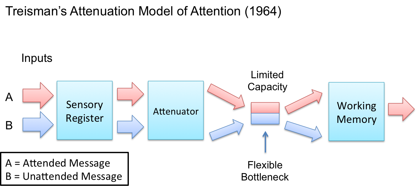 Are you paying attention? – The Emotional Learner