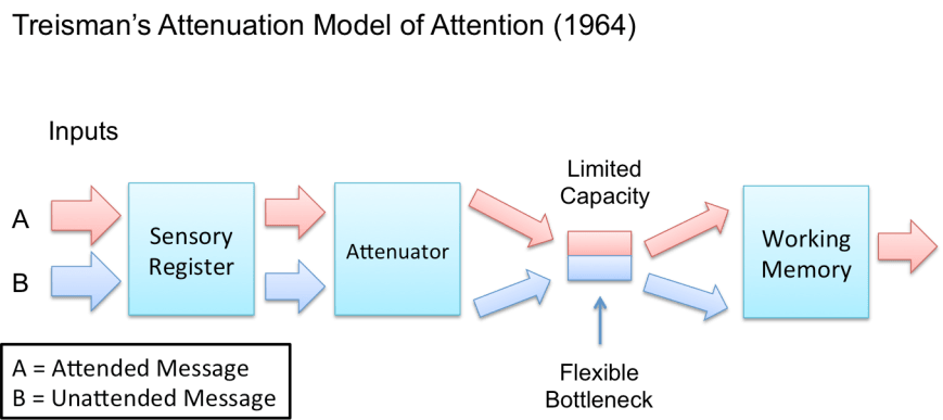 Are you paying attention? – The Emotional Learner