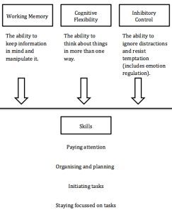 What are non-cognitive skills? – The Emotional Learner