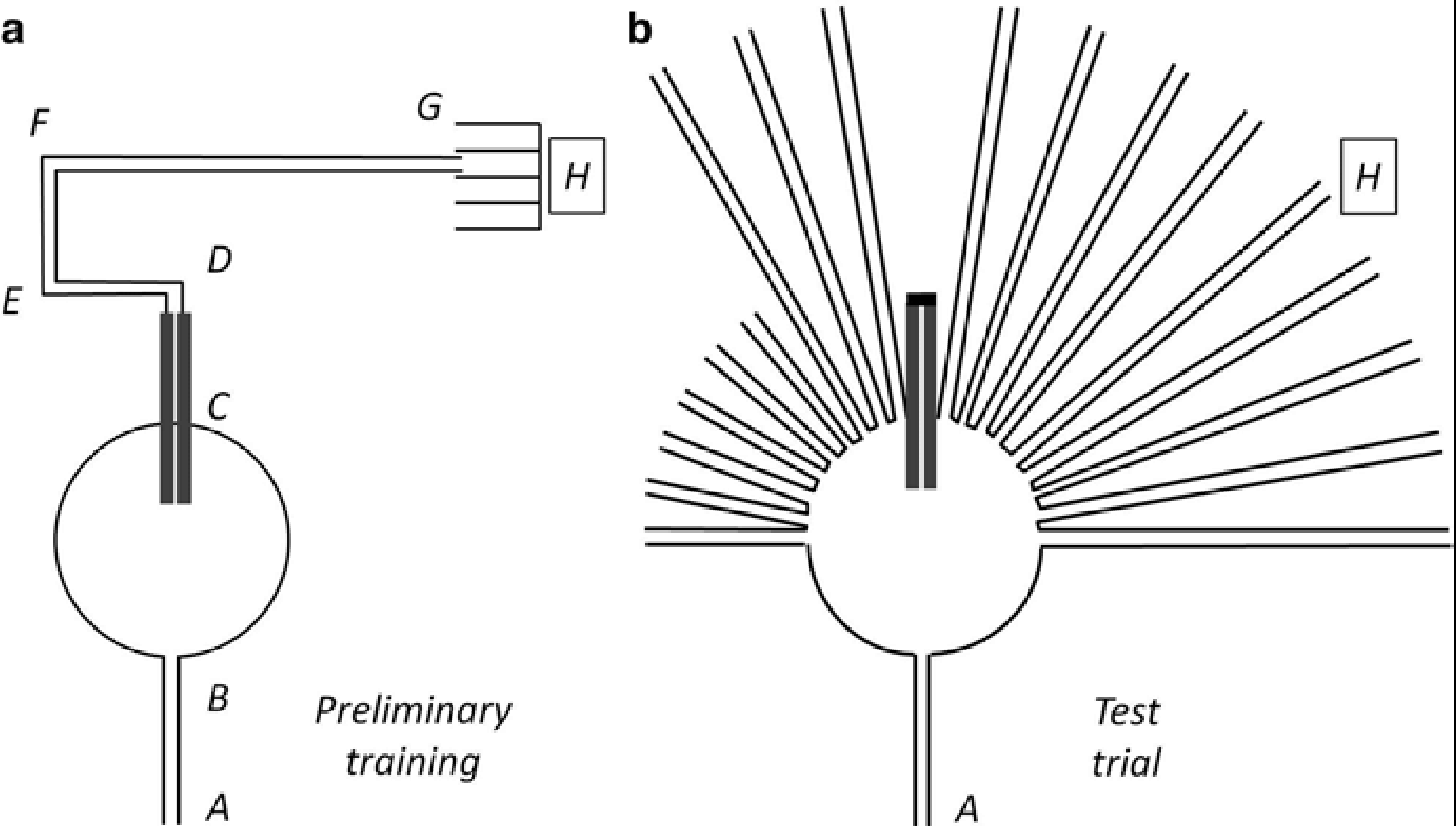 What is Latent learning? – The Emotional Learner